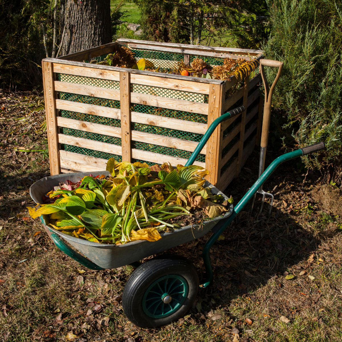 Composting Made Simple: A Step-by-Step Guide for Beginners ...