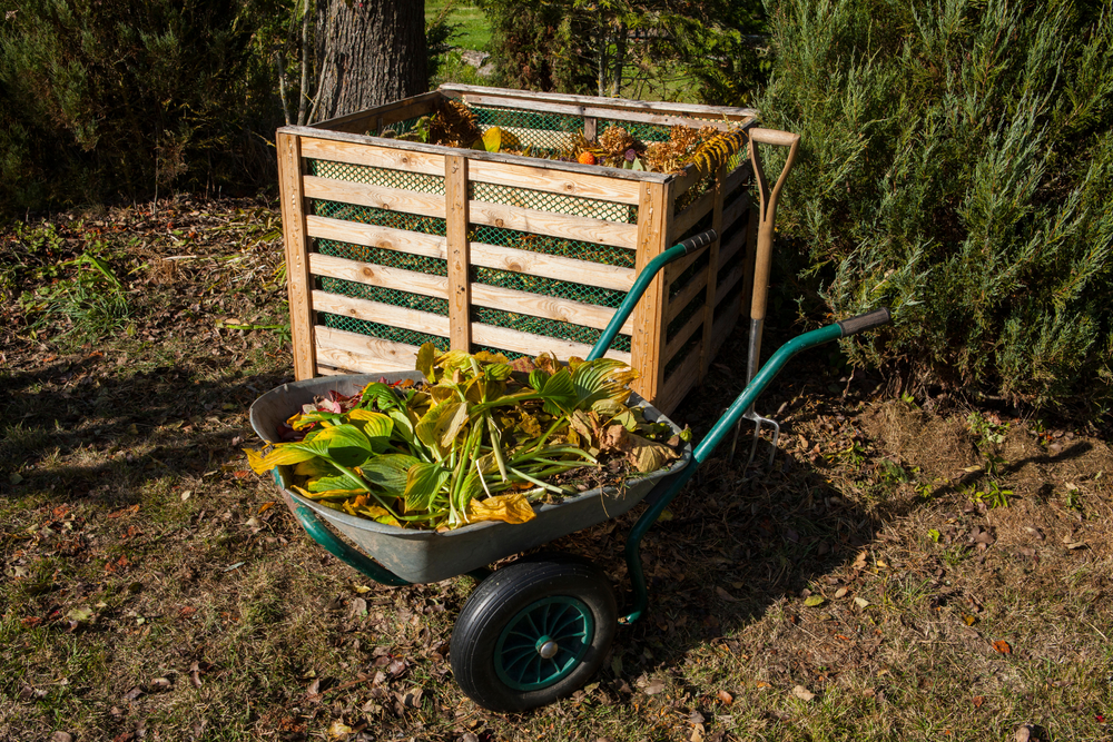 Composting Made Simple: A Step-by-Step Guide for Beginners ...