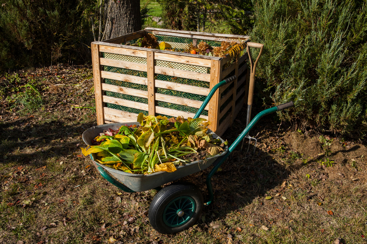 Composting Made Simple: A Step-by-Step Guide for Beginners ...