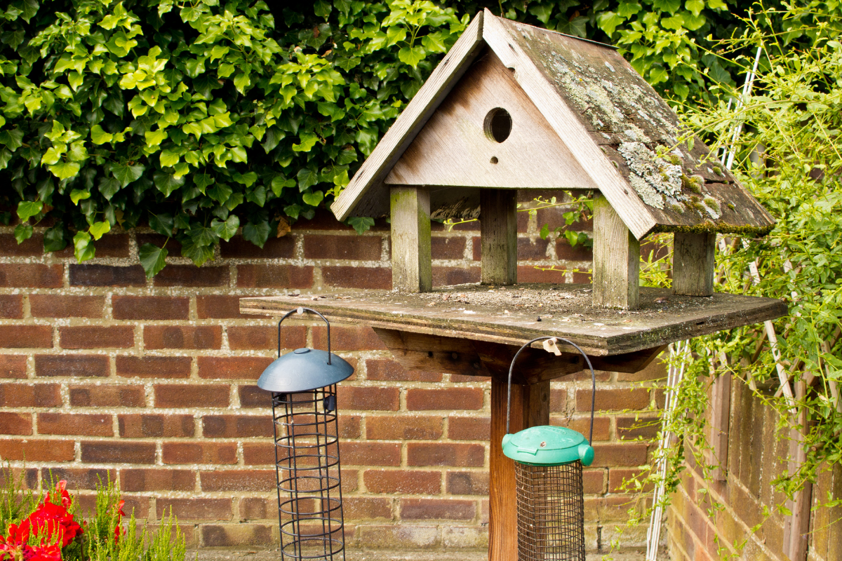 Bird Tables – Almondsbury Garden Centre