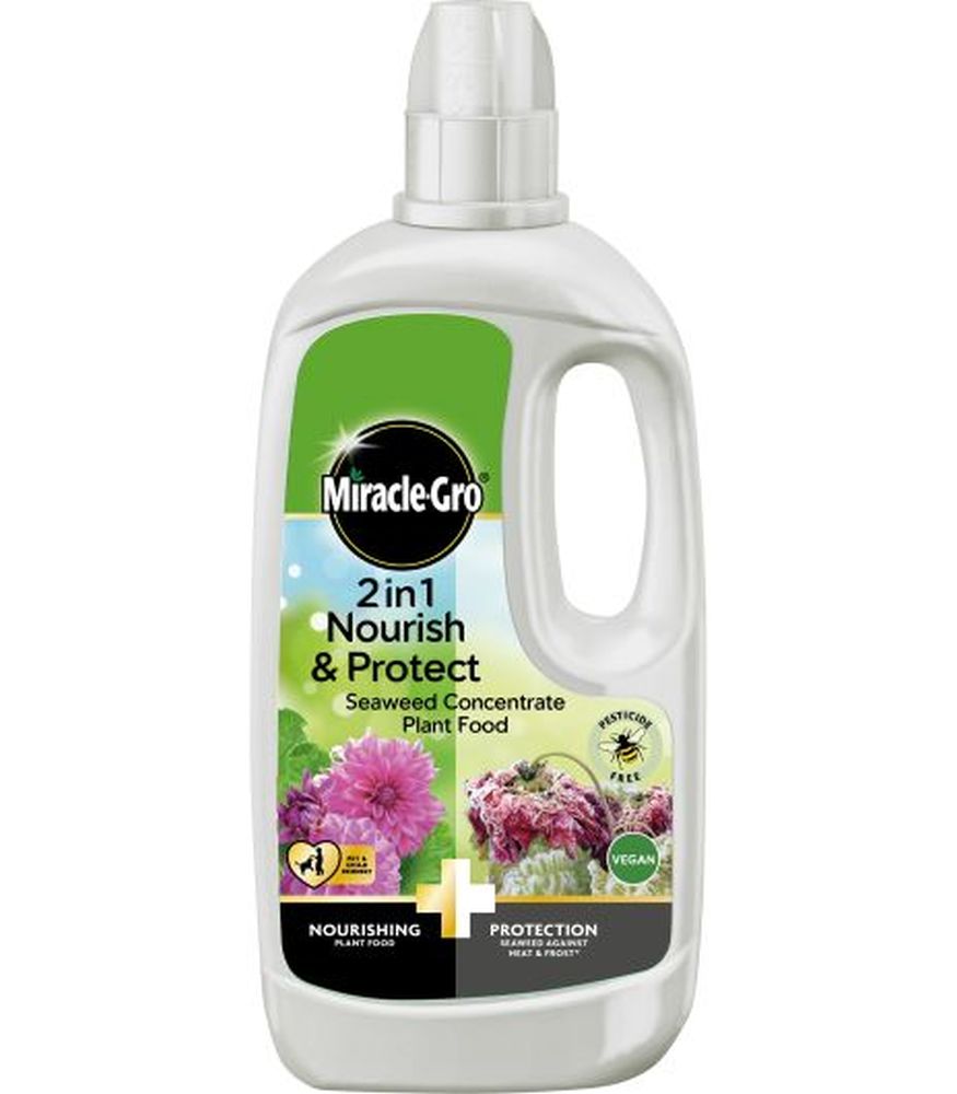 Miracle-Gro Nourish & Protect Seaweed Plant Food 1800ML – Almondsbury ...