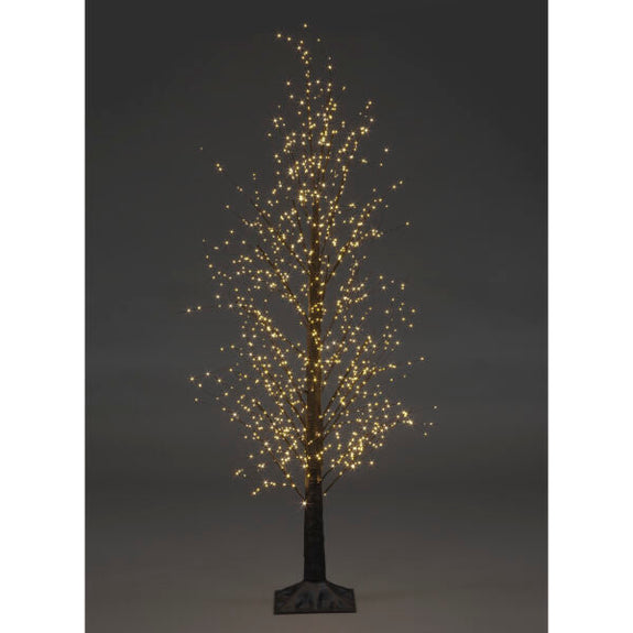 Products – Almondsbury Garden Centre
