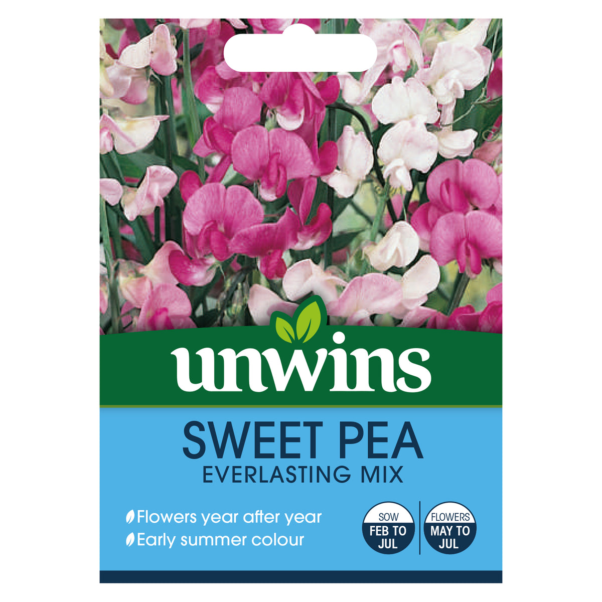 Sweet Pea Everlasting Mix – Almondsbury Garden Centre
